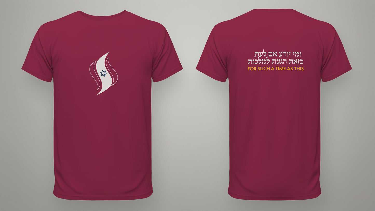 Malchut, T-shirt – First Fruits of Zion Resources Store