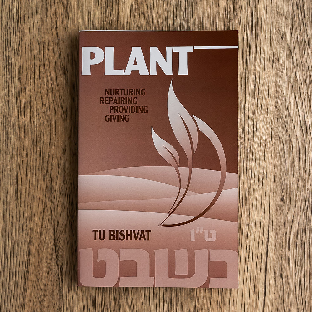 BLOOM, Haggadah + PLANT, A Tu Bishvat Anthology, Book Bundle – First ...