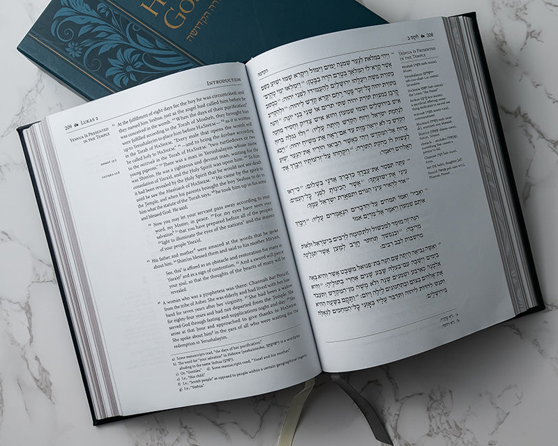 The Delitzsch Hebrew Gospels, Deluxe Edition Hardcover – First Fruits ...