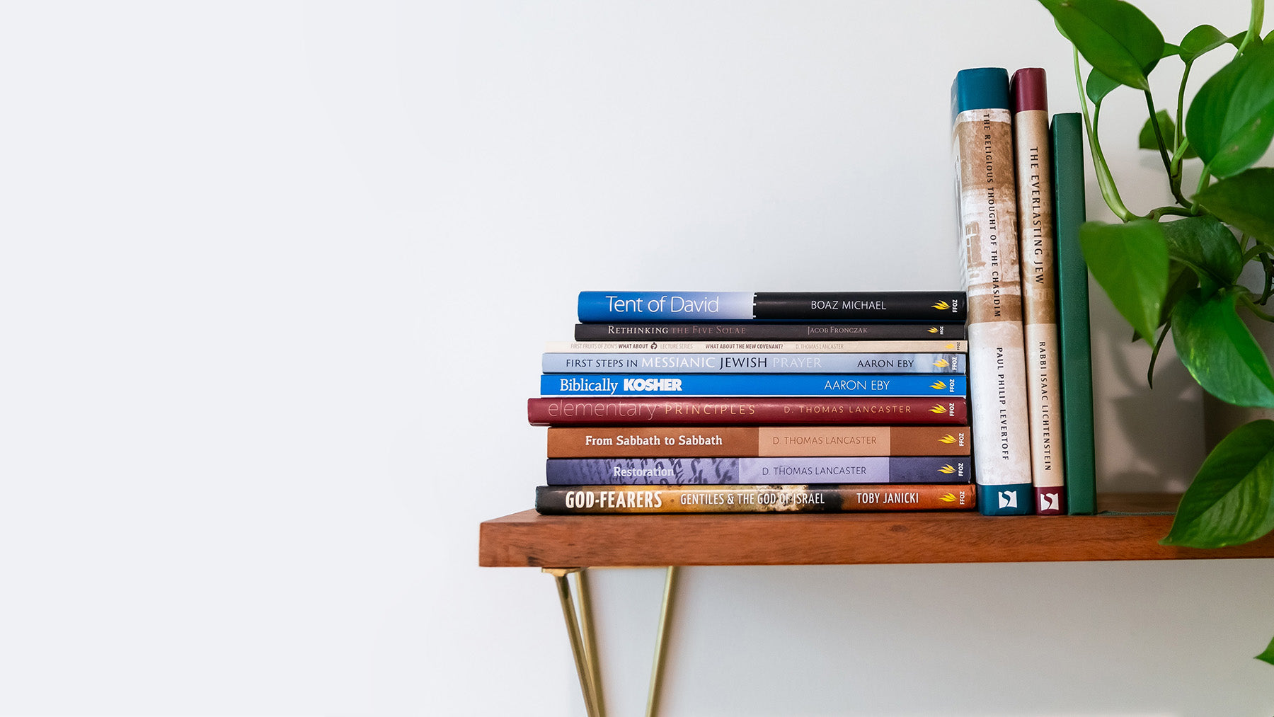 First Fruits of Zion Resources Store